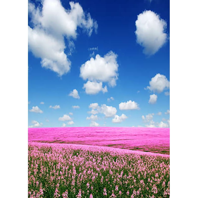 Natural Scenery Photography Background Flowers And Plants Forest Travel ...