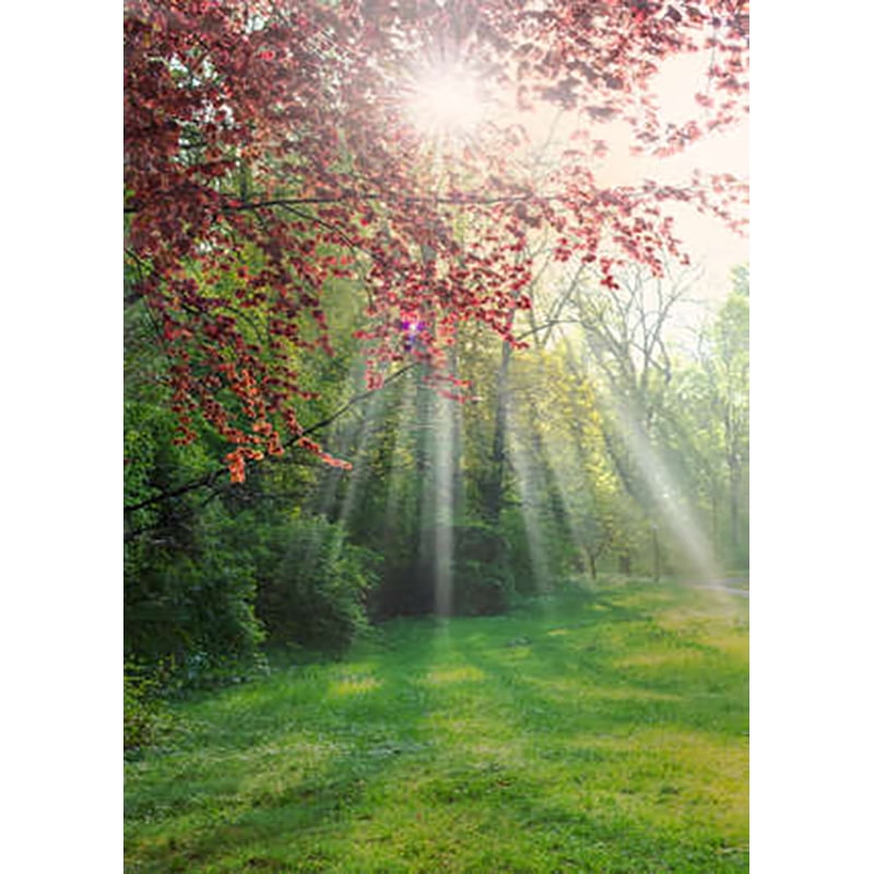 Natural Scenery Photography Background Flowers And Plants Forest Travel ...