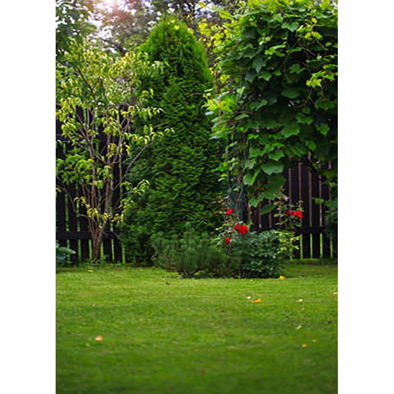 Natural Scenery Photography Background Flowers And Plants Forest Travel ...