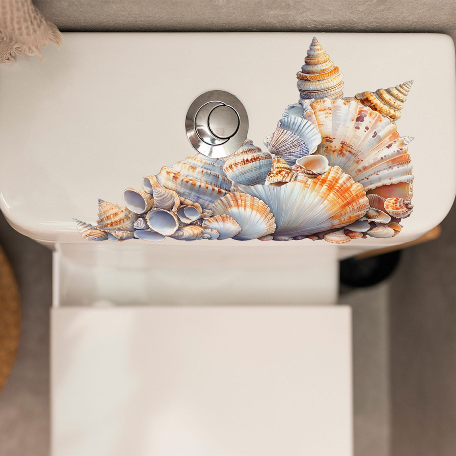 Natural Sea Shells Variety Pack Assorted Sizes & Shapes for Crafts,Wall ...