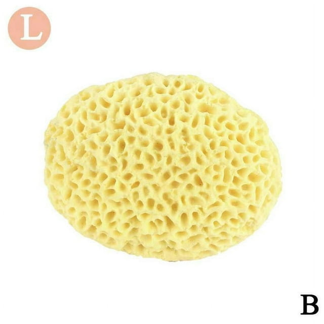 Natural Sea Wool Sponge Body Sponge Bath Sponges for Shower Honeycomb ...