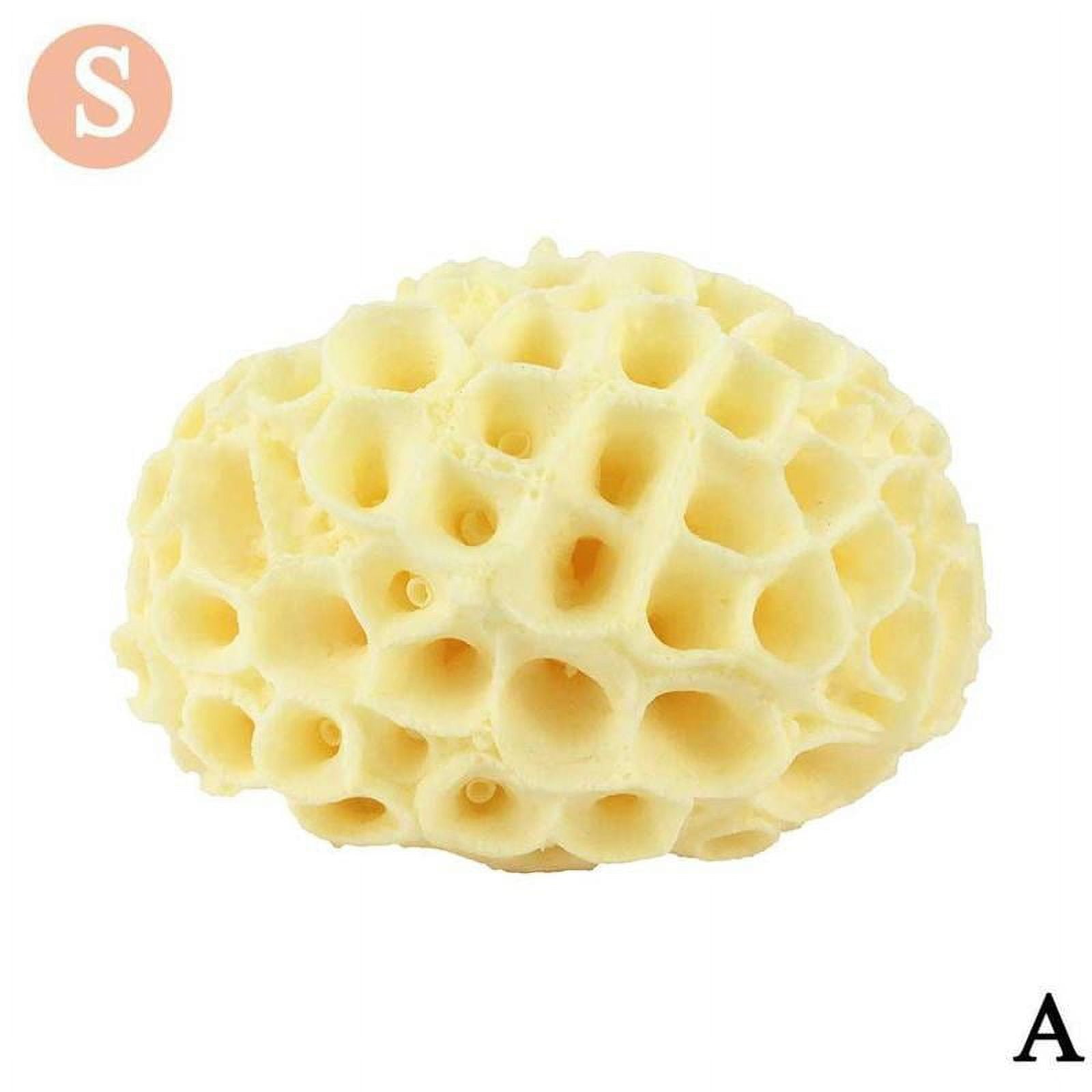 Natural Sea Wool Sponge Body Sponge Bath Sponges for Shower Honeycomb ...