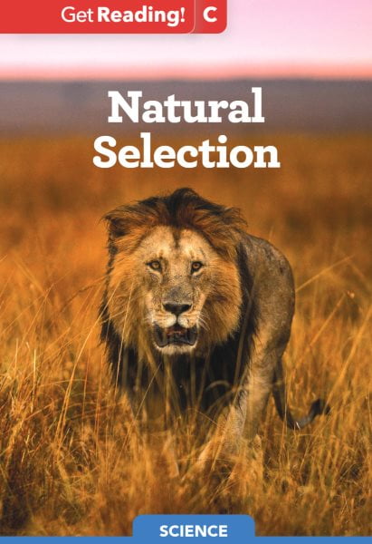 Natural Selection - Walmart.com