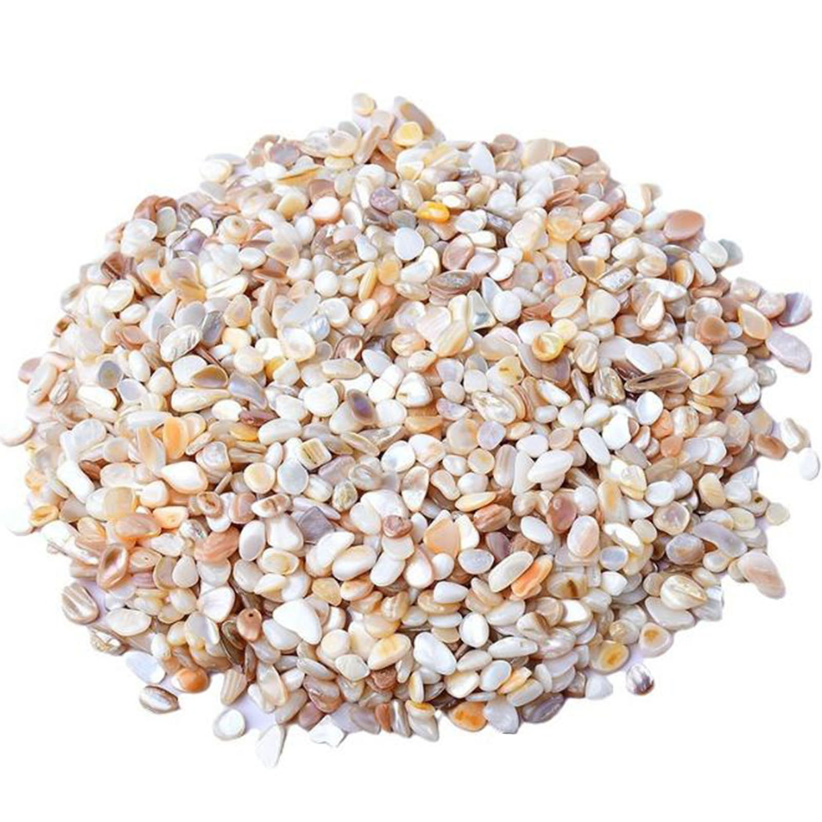 Natural Shell Gravel Pebbles,1.1lb Decorative Aquarium Gravel Pebble ...