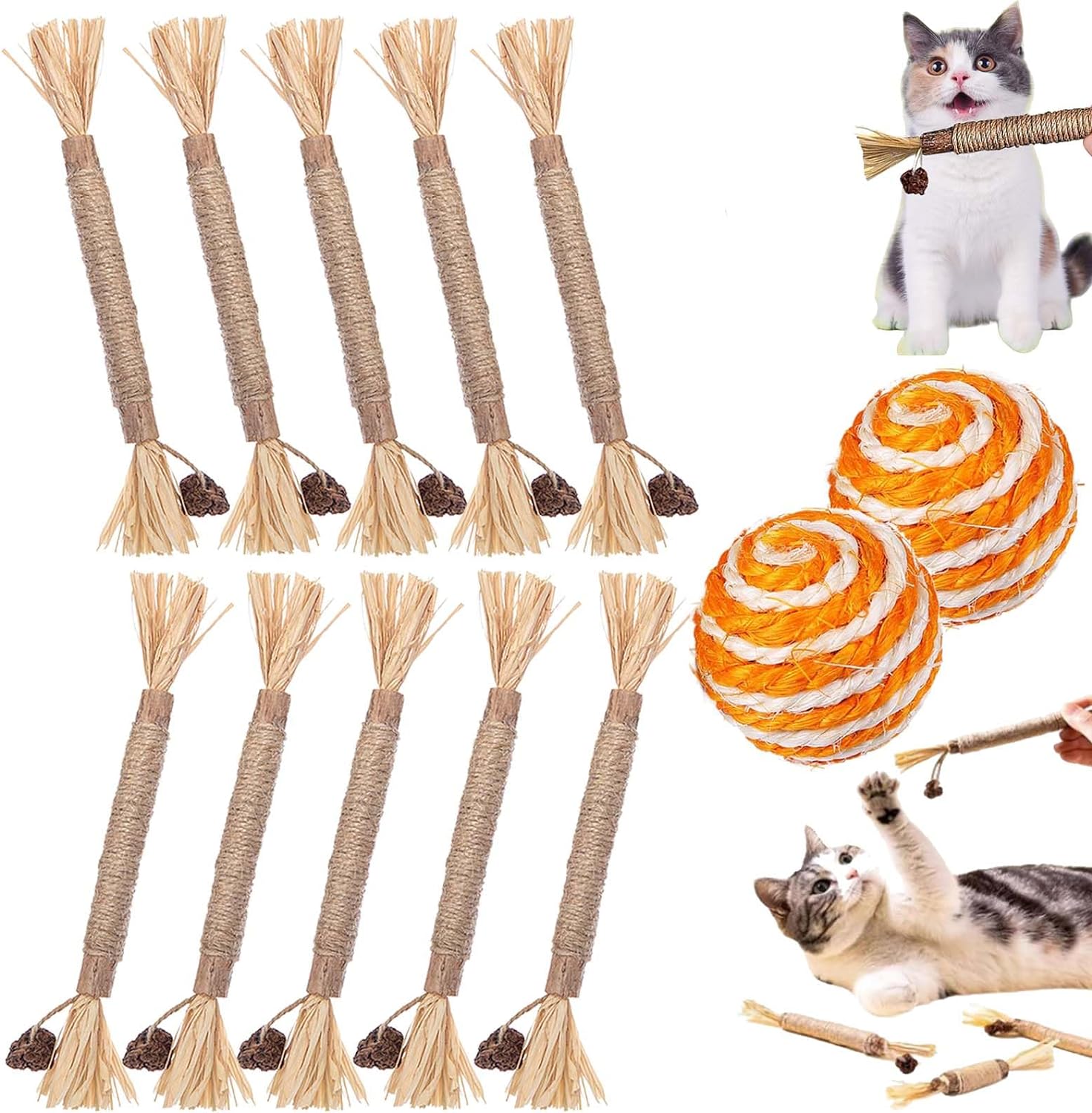 Natural Silvervine Dental Sticks, Silvervine Sticks for Cats, Natural ...