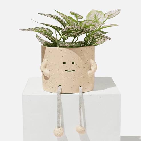 Natural Sitting Planter w/ Rope Legs | Succulent Planter | Indoor ...