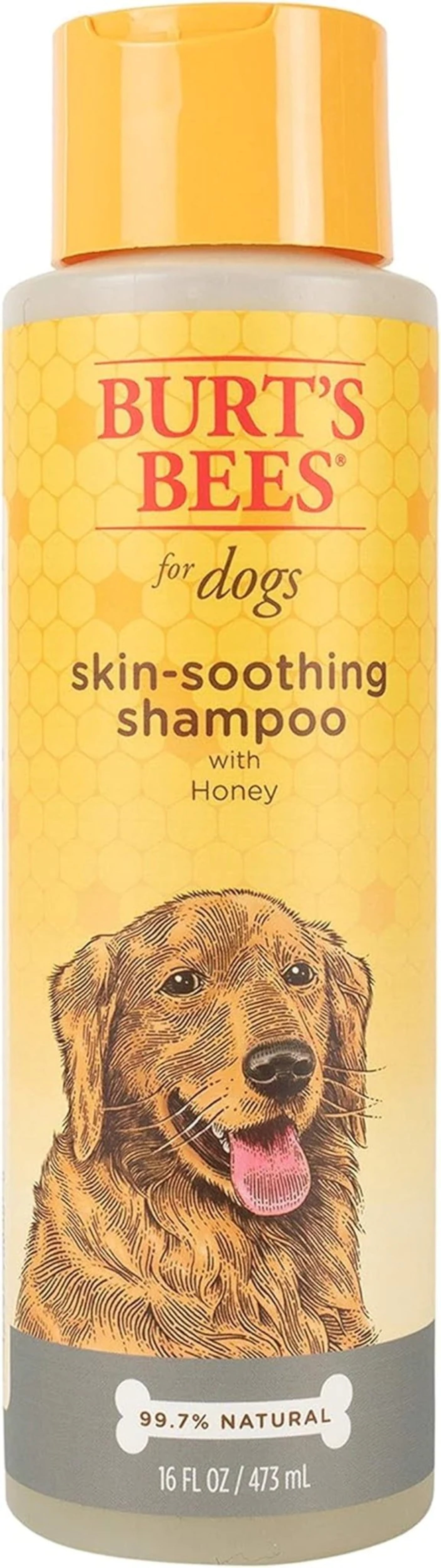 Natural Skin Soothing Shampoo with Honey | Dog Shampoo for All Dogs and ...