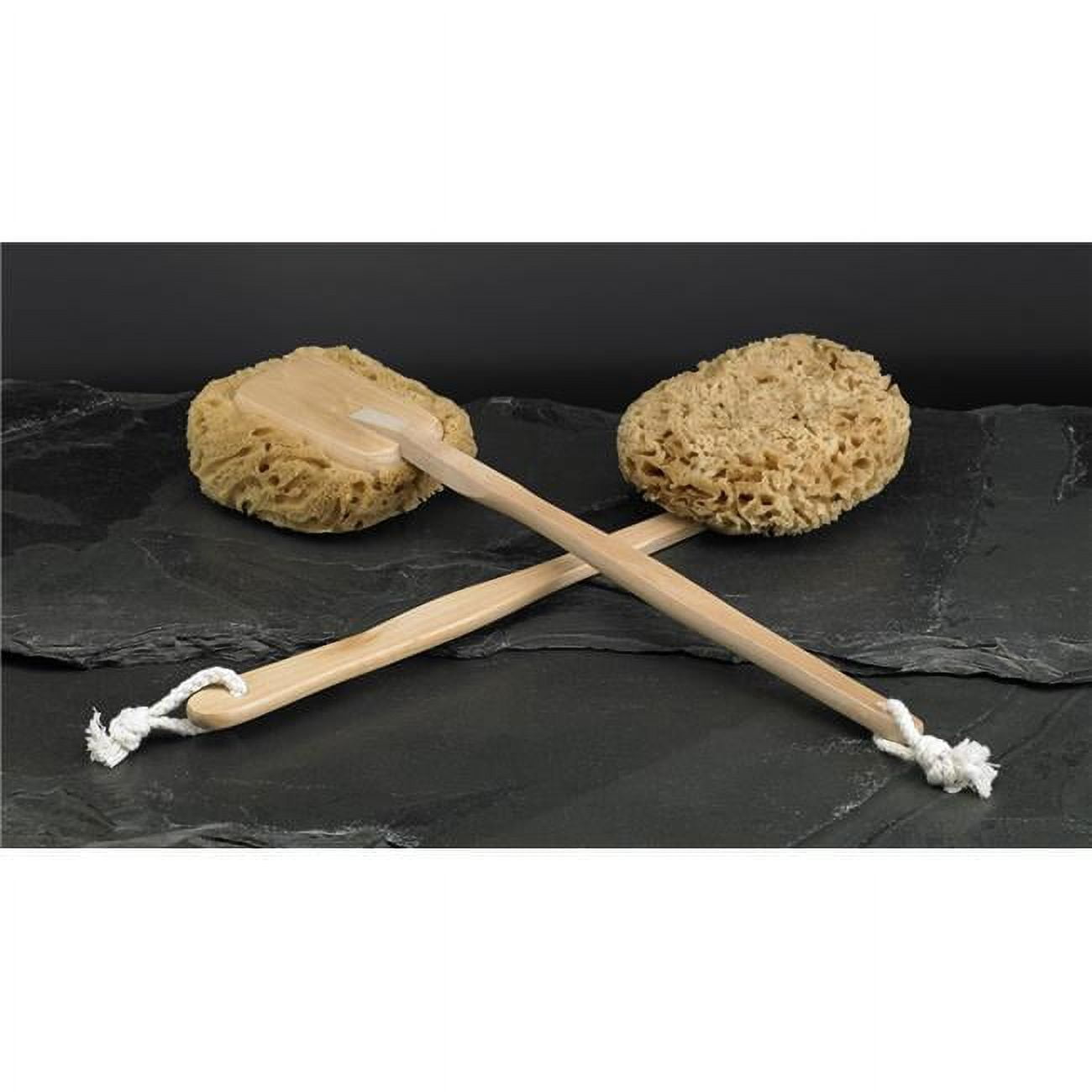 Natural Sponge on a Stick - Sea Wool - Walmart.com
