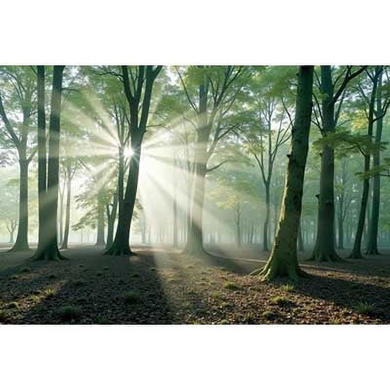 Natural Spring Forest Trees Backdrops Gre Grass Purple Flower Leaves ...