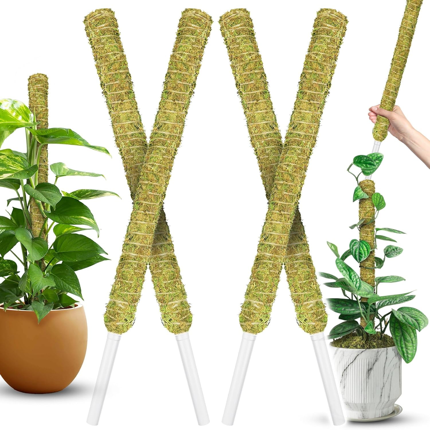 Natural Stackable Moss Pole for Plants Monstera Potted Plant Stakes for ...
