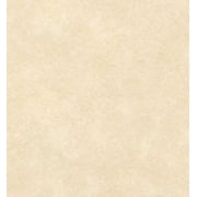 Superfine Printing Cardstock in Paper | Beige - Walmart.com