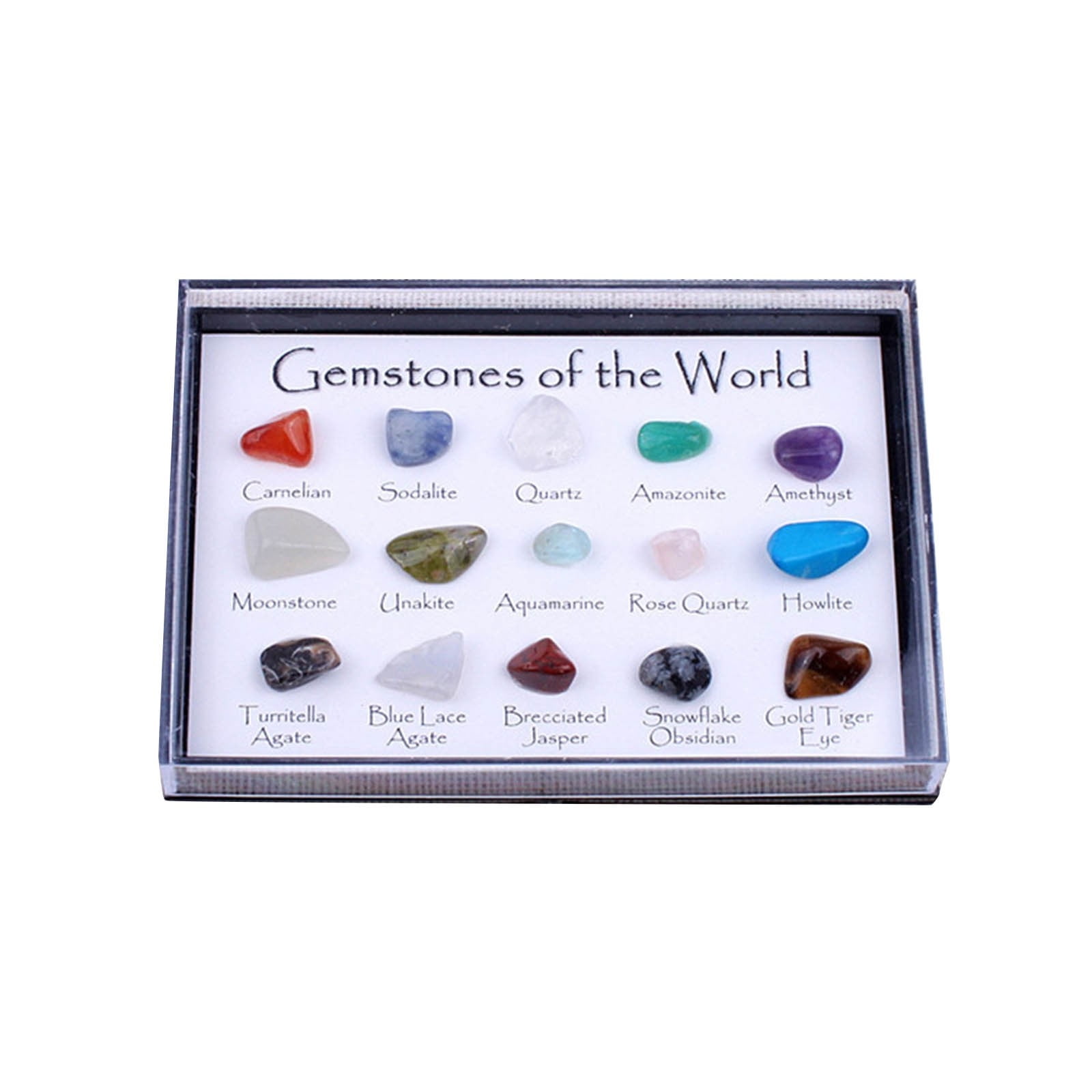 Natural Stone Specimen Collection Box – 15 Irregular Mineral Rocks for ...