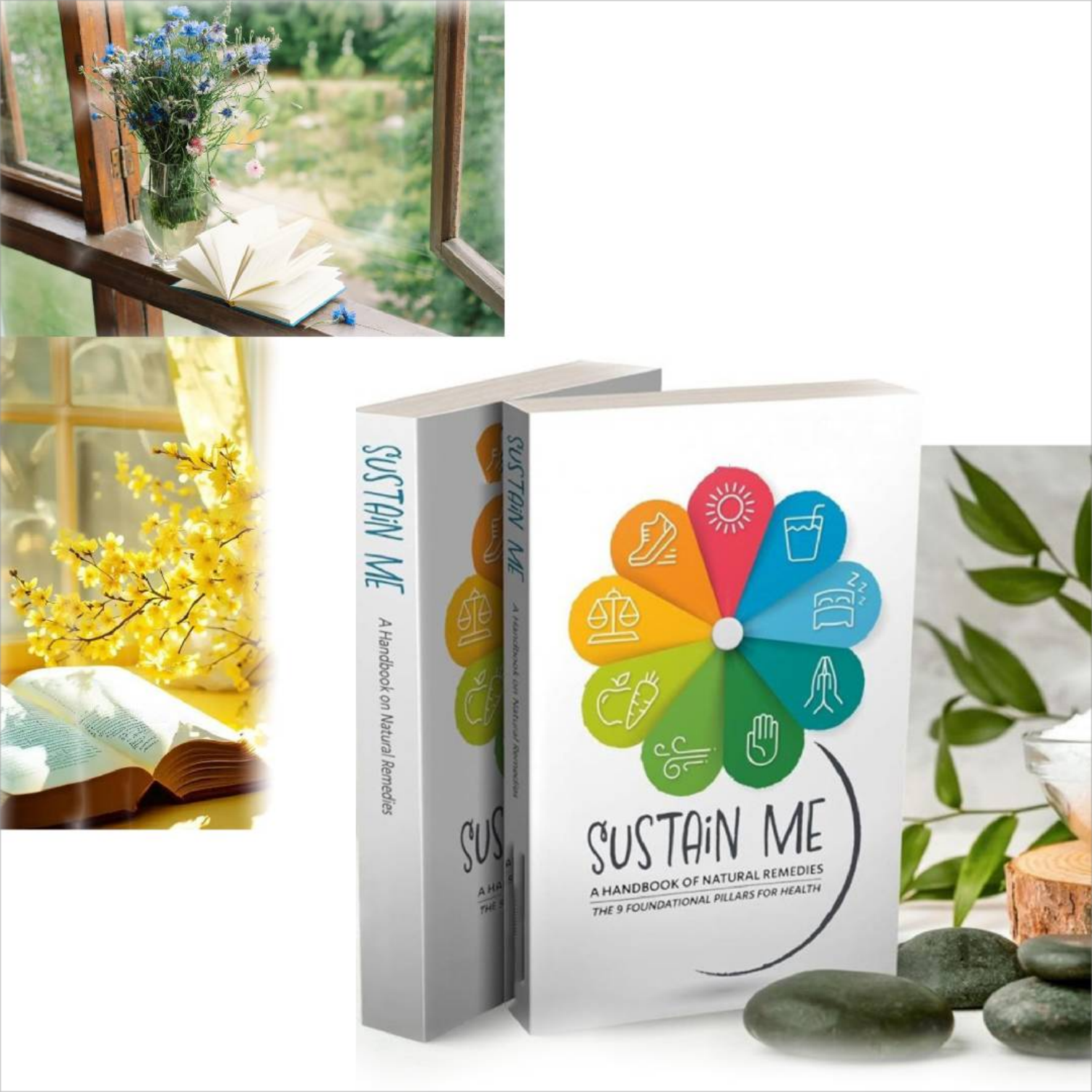 Natural Survival Book "Sustain Me" by Barbara O'Neill: Natural Healing ...