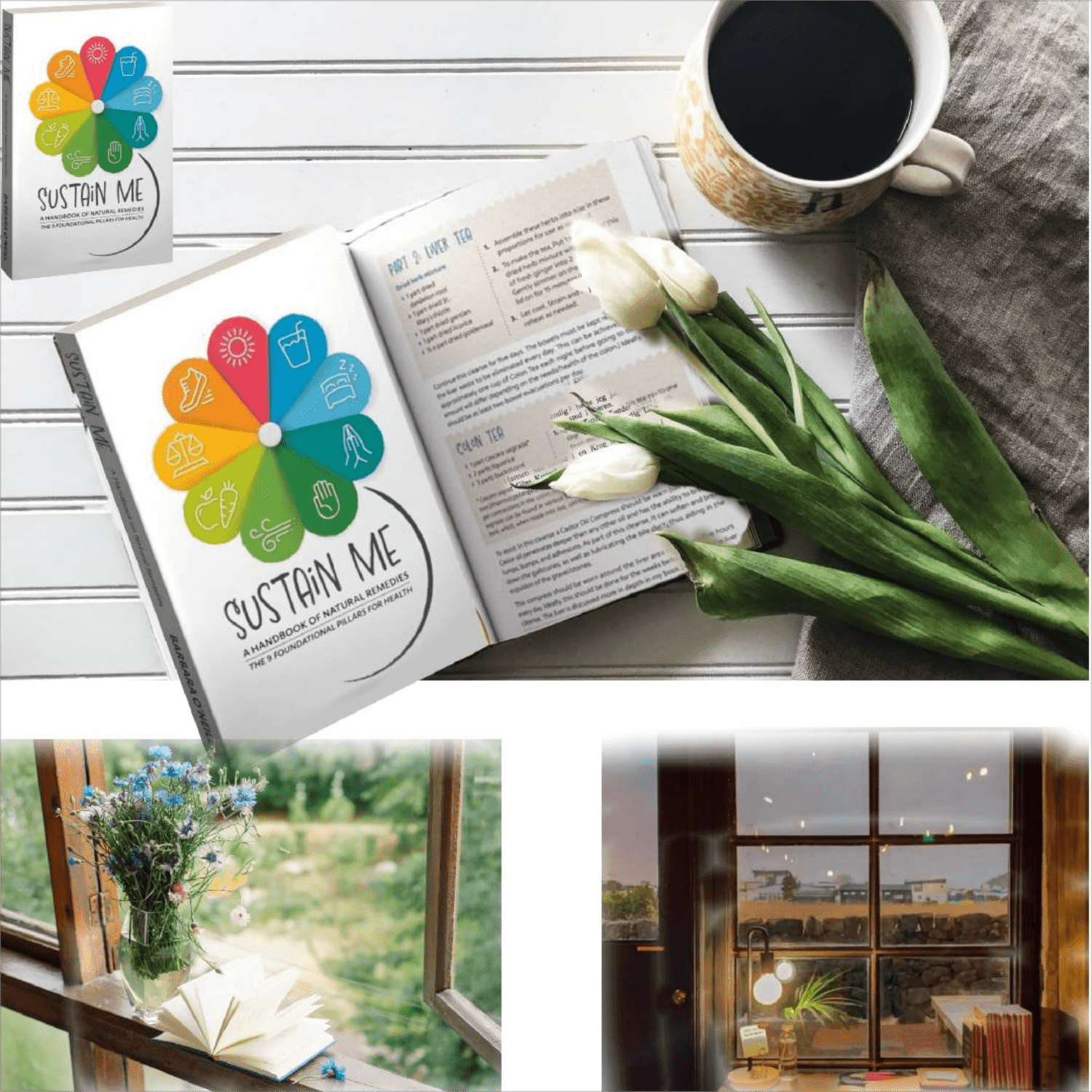 Natural Survival Book "Sustain Me" by Barbara O'Neill: Natural Healing ...