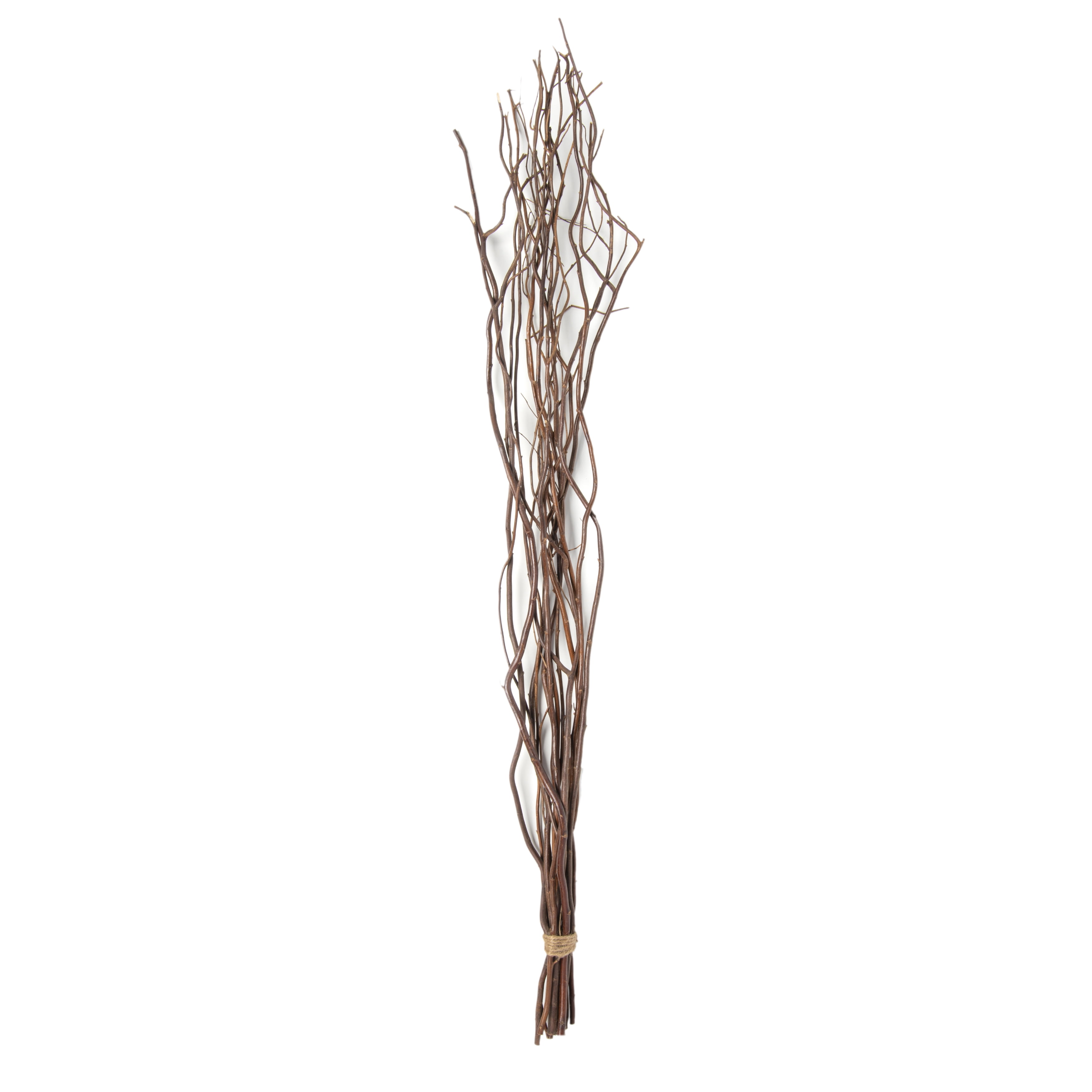 Natural Tall Curly Willow by Ashland - Walmart.com