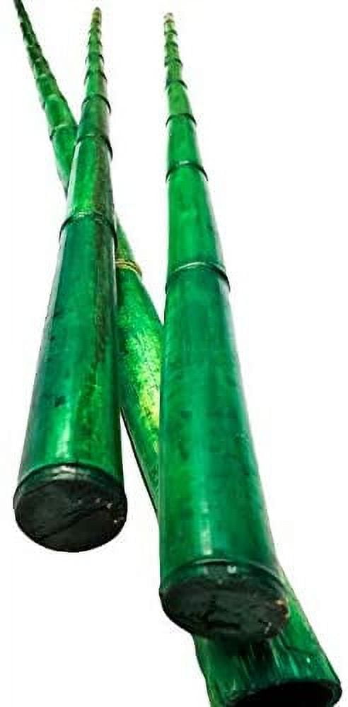 Empire Home 6 ft Bamboo Garden Stake Natural Green Thick Support Poles ...