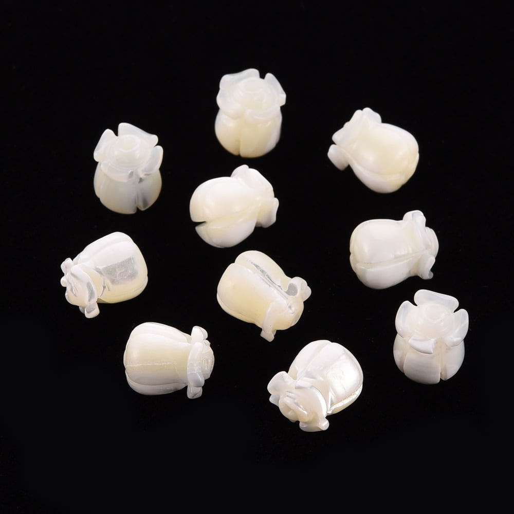 Natural Trochid Shell/Trochus Shell Beads Lily of the Valley Seashell ...
