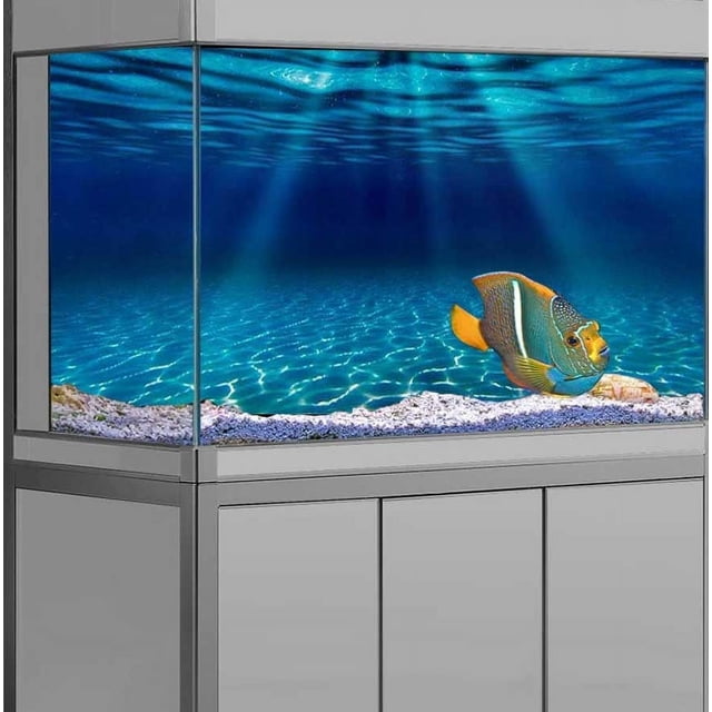 Natural Undersea Aquarium Background, Underwater Ocean Sunlight Fish ...