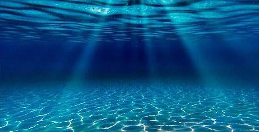 Natural Undersea Aquarium Background, Underwater Ocean Sunlight Fish ...