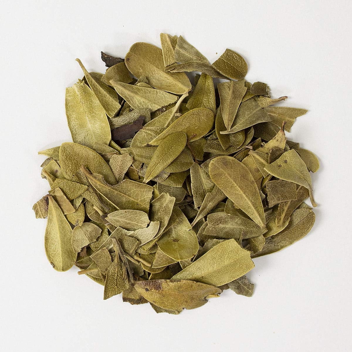 Natural Versatility Uva Ursi Leaf Whole Herb - Bearberry, Herbal Teas ...