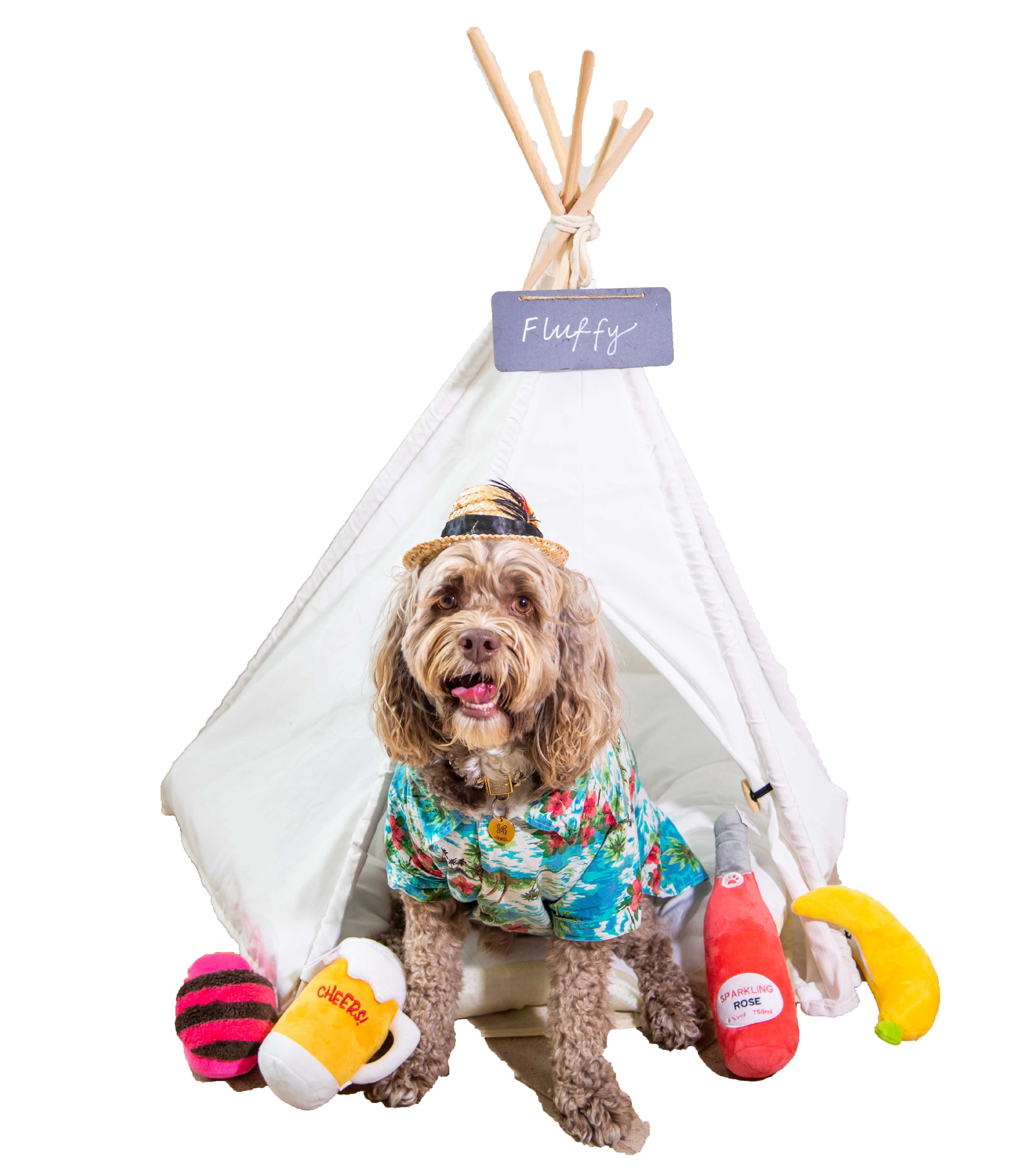 Pet Teepee Dog Bed with Non-Slip Bottom, Natural White - Walmart.com