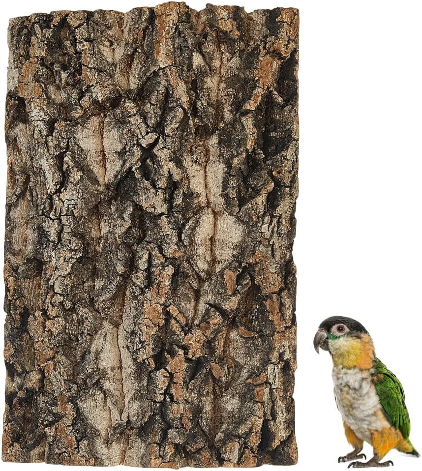 Natural Wood Bark Cork Bird Bearded Dragons Seat Boards Mat Habitat ...