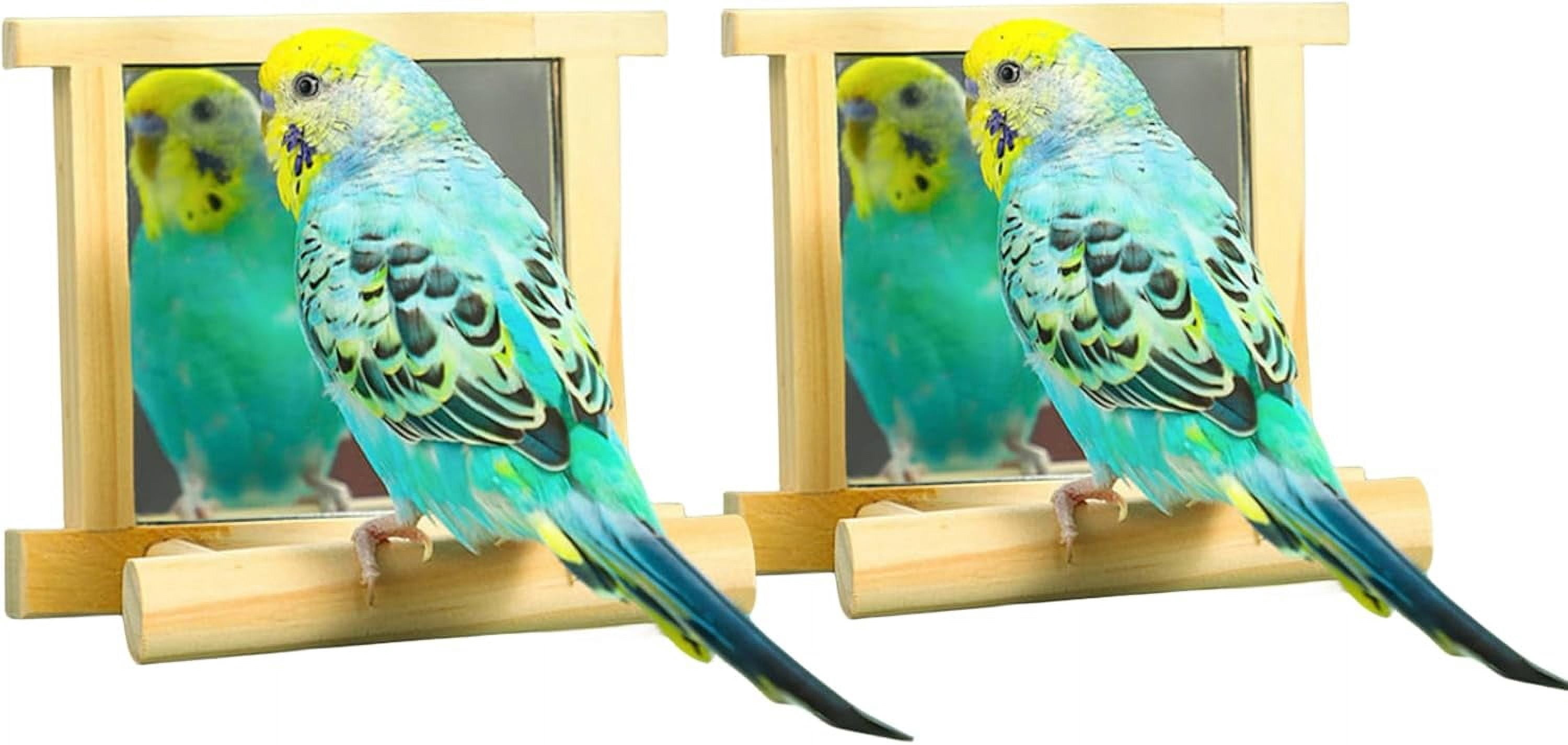 Natural Wood Bird Stand with Mirror, Perch and Swing Toy for Parakeets ...