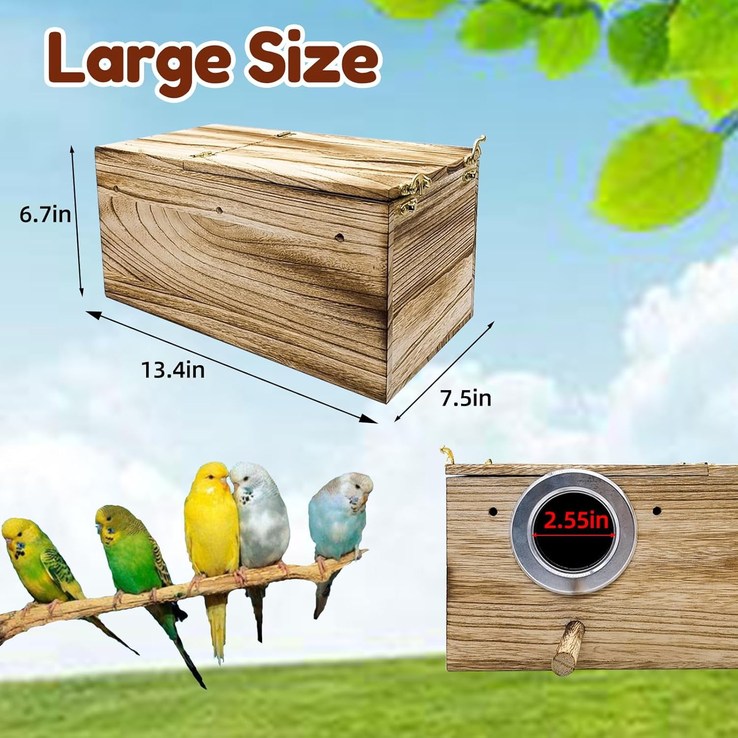 Natural Wood Cockatiel Nesting Box for Small Birds | Encourage Breeding ...