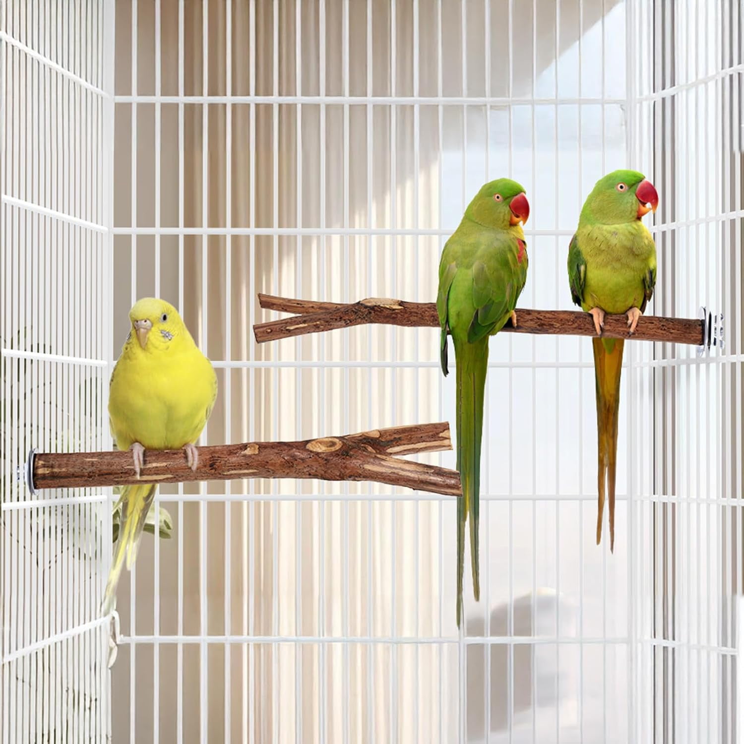 Natural Wooden Perches for Bird Cages - Ideal for Cockatiels, Parakeets ...