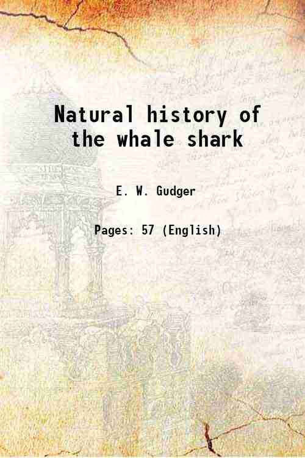 Shark History