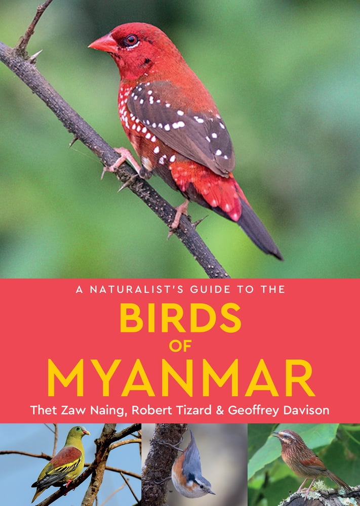 Naturalists' Guides: A Naturalist's Guide to the Birds of Myanmar ...
