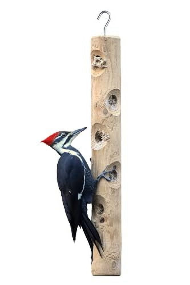 Naturally Attract Backyard Birds: Large Cedar Suet Log Feeder for ...