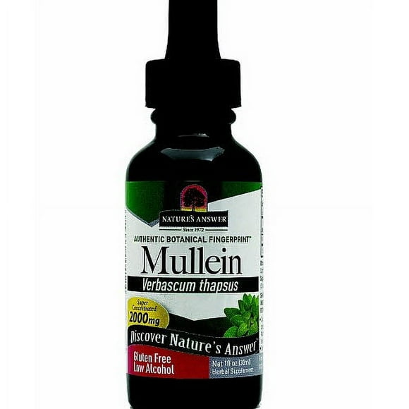 Mullein