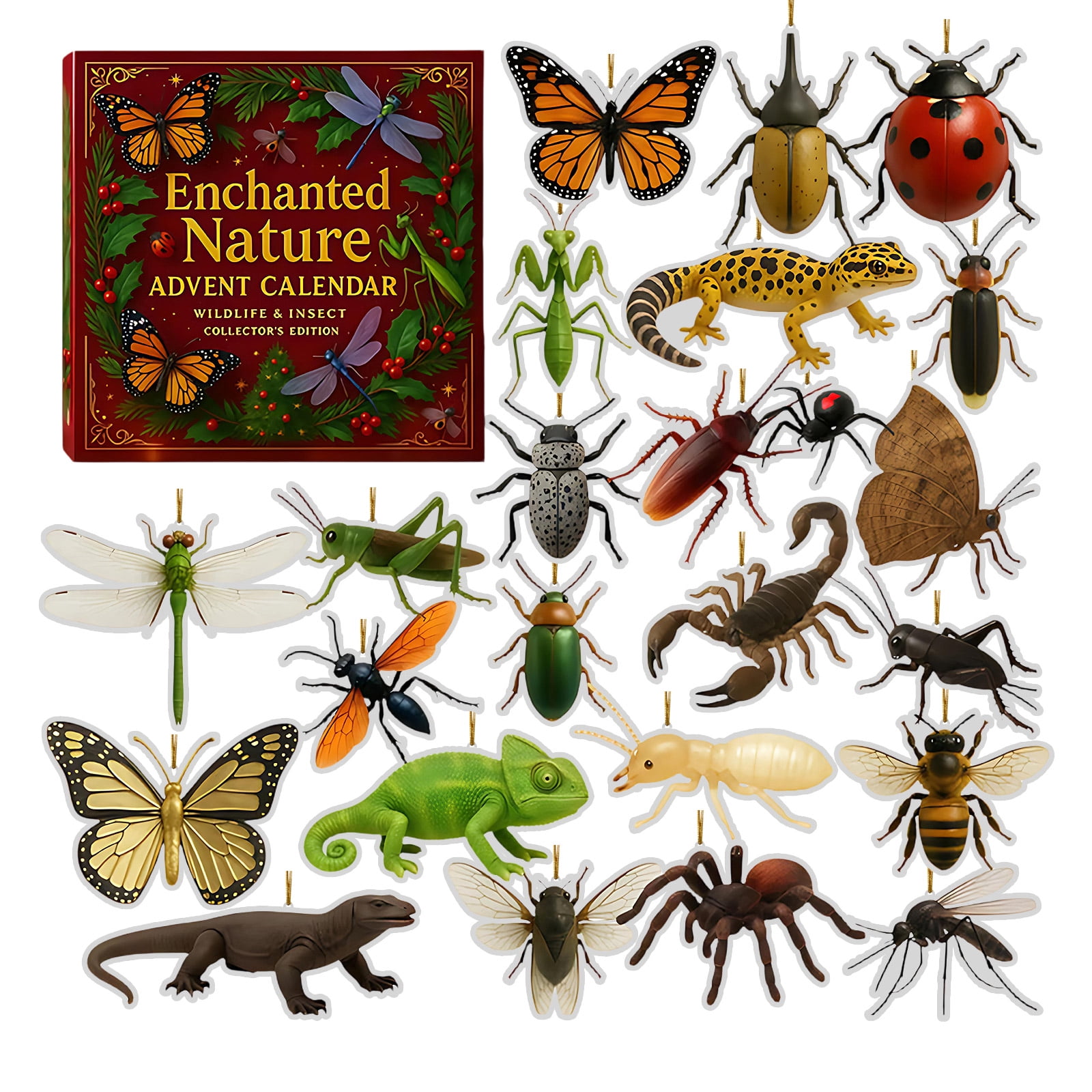 Nature Advent Calendar 2025 – 24 Days Christmas Countdown Calendar with ...