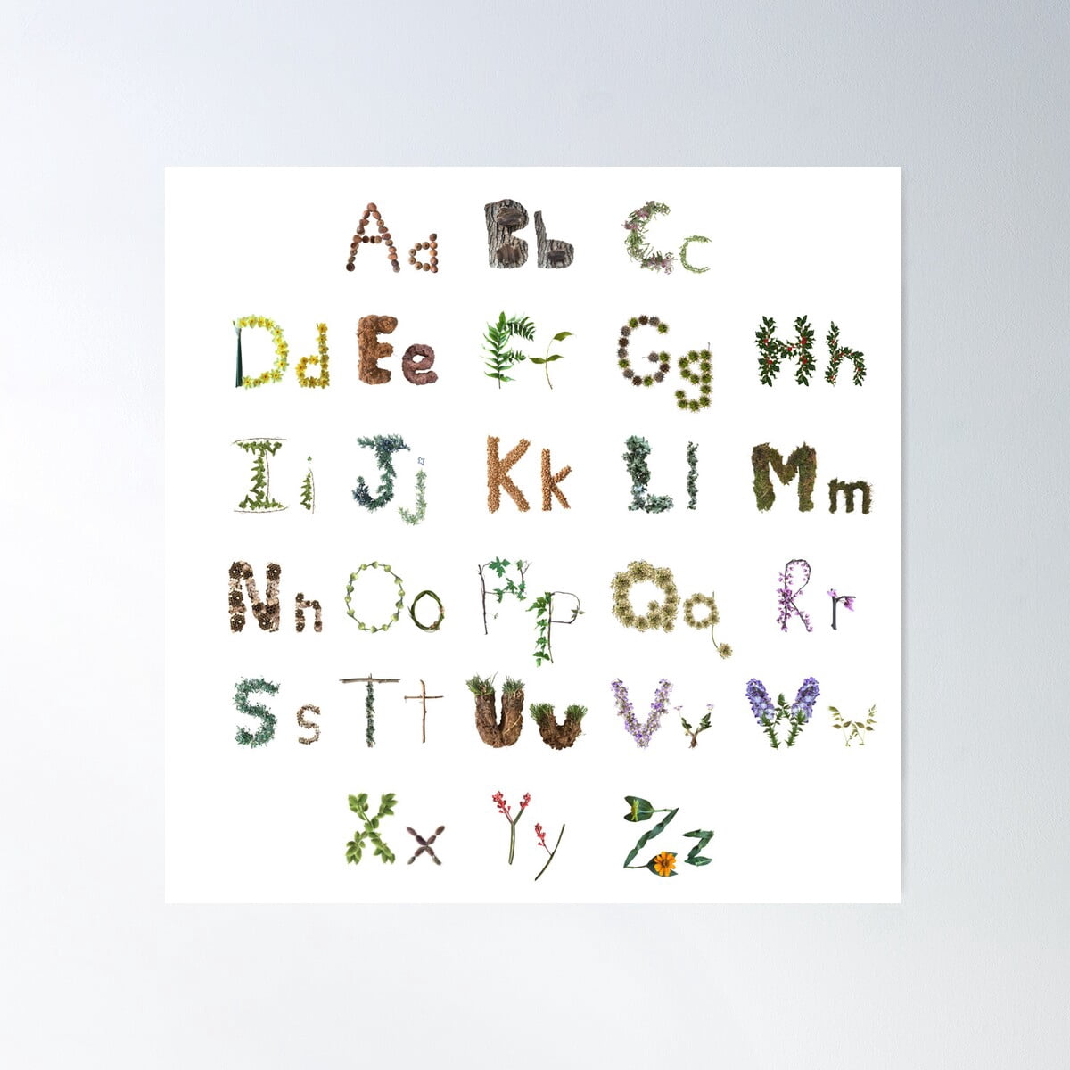 Nature Alphabet Kids Educational Botanical Abc Poster Wall Art, Modern ...