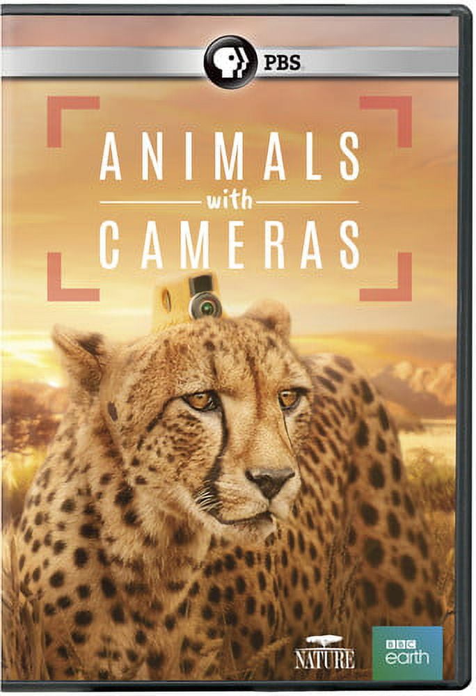 Nature: Animals With Cameras (DVD), PBS (Direct), Documentary - Walmart.com