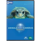Nature: Animals With Cameras - Season 2 (DVD), PBS (Direct ...