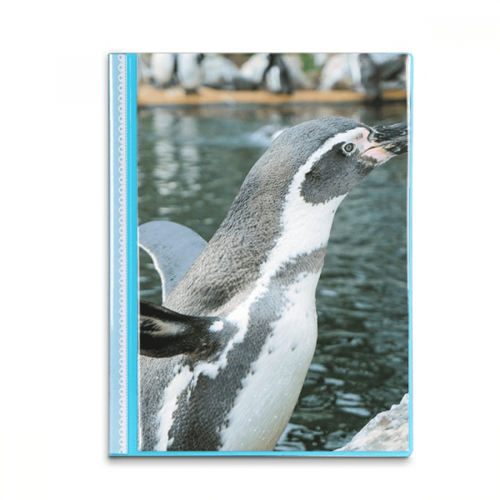 Nature Antarctic Penguin Science Picture Book Sheet Protectors ...