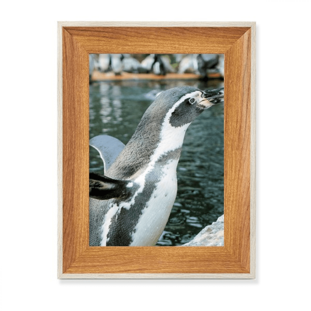 Nature Antarctic Penguin Science Picture Desktop Wooden Photo Frame ...