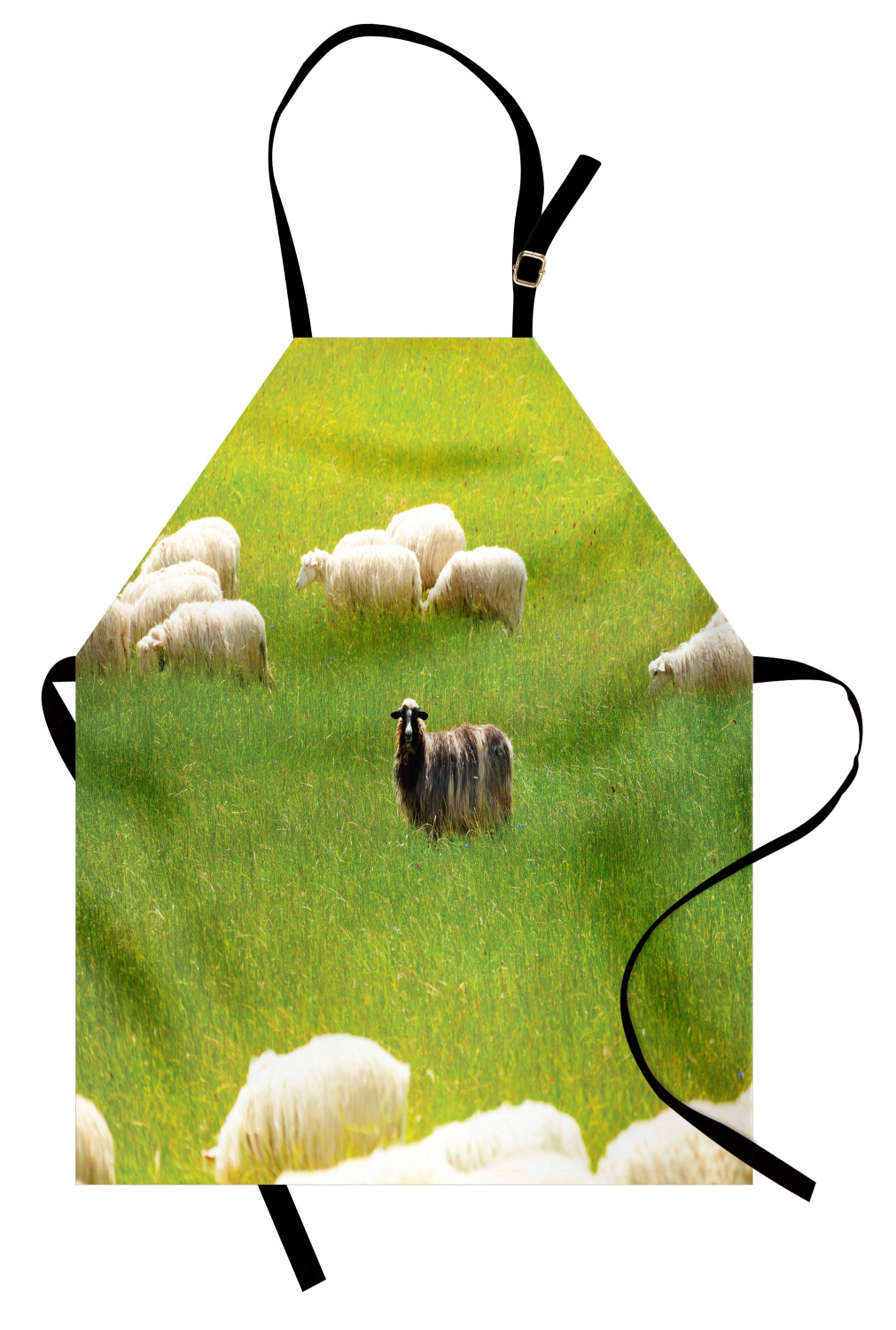 Nature Apron Black Sheep between White Goats on Grass Field Meadow ...