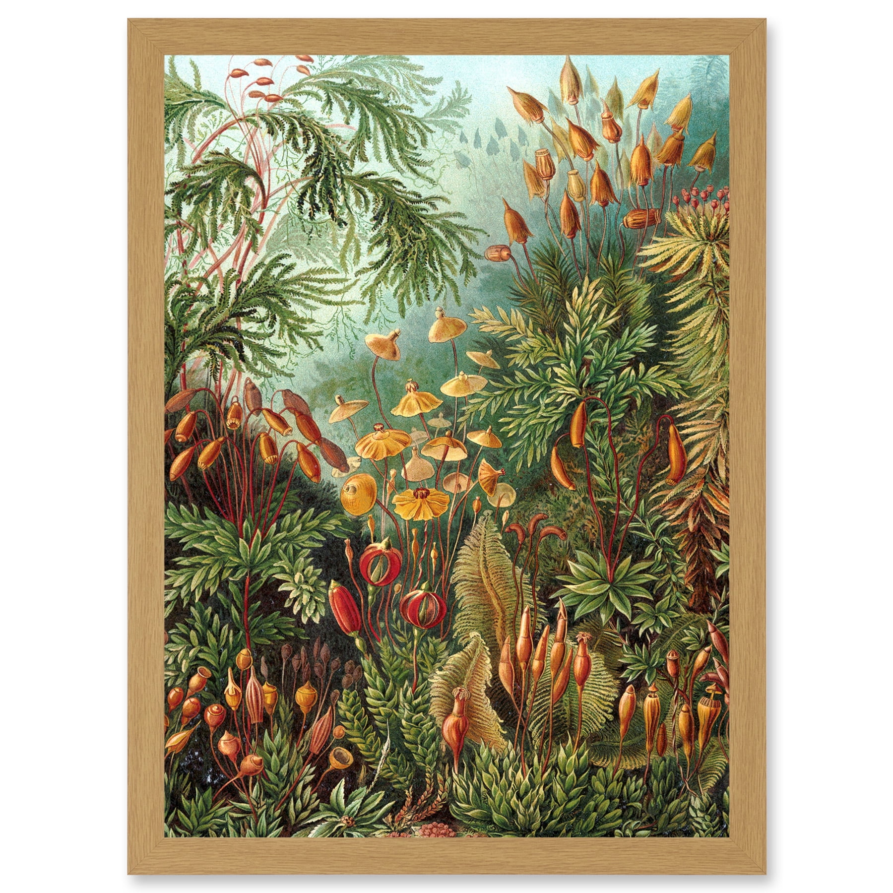 Nature Art Ernst Haeckel Sea Plant Biology Botanical Vintage A4 Artwork ...