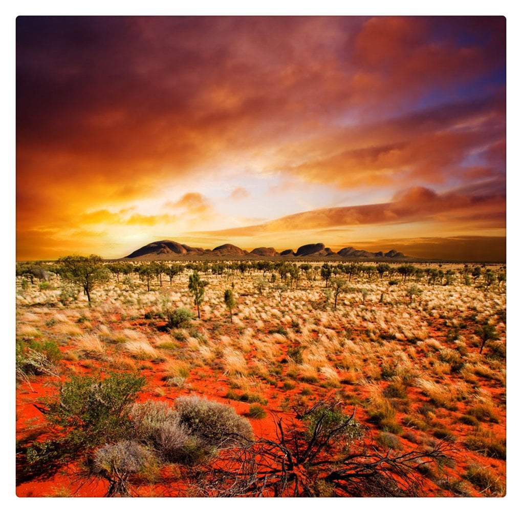 Nature Backdrop for Pictures 5x7ft Photography Background Backdrop ...