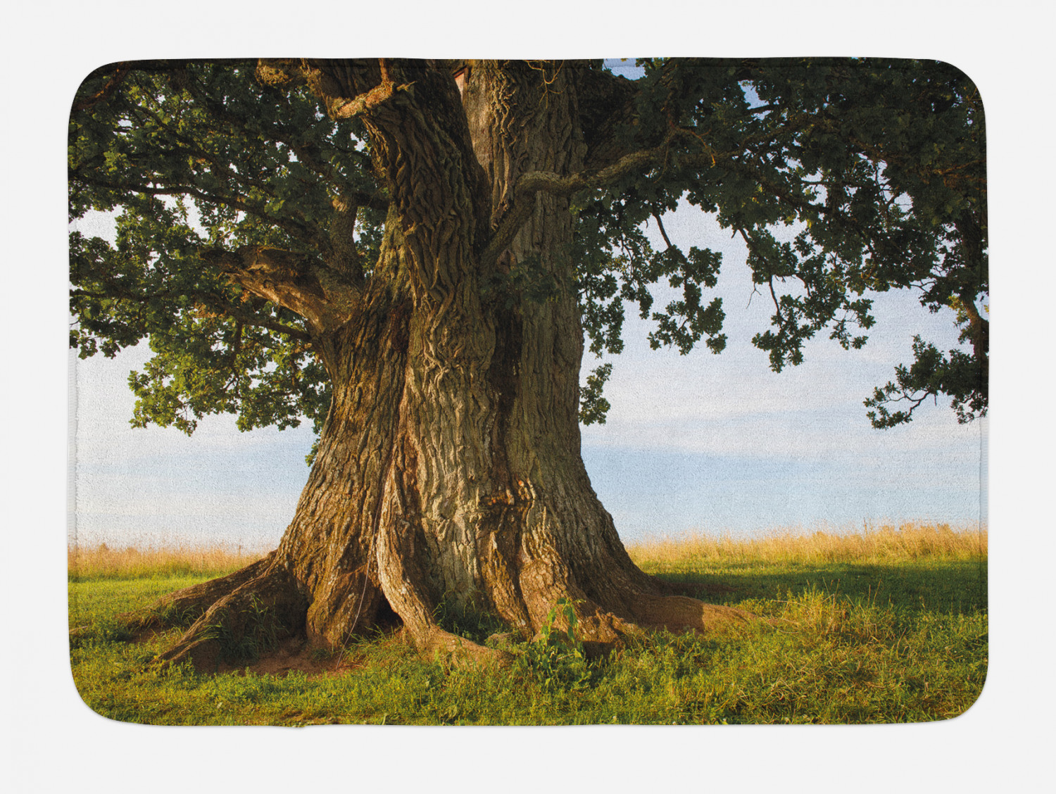 Nature Bath Mat, Majestic Oak Tree on Grass Estonia Northern Europe ...