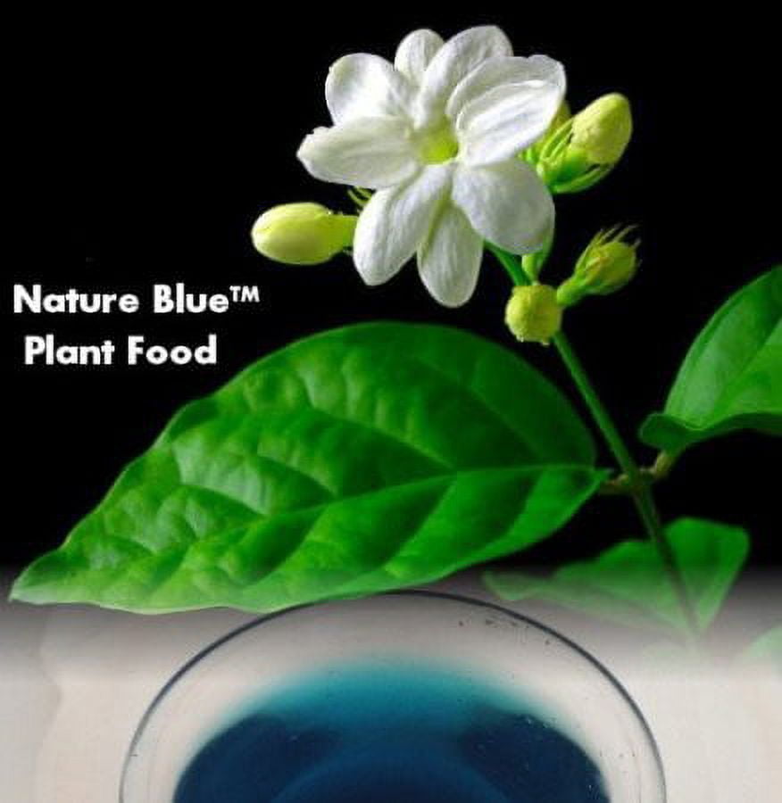 Nature Blue Fertilizer Plant Food for Growth, 20-10-20 Formula - 8 Oz ...