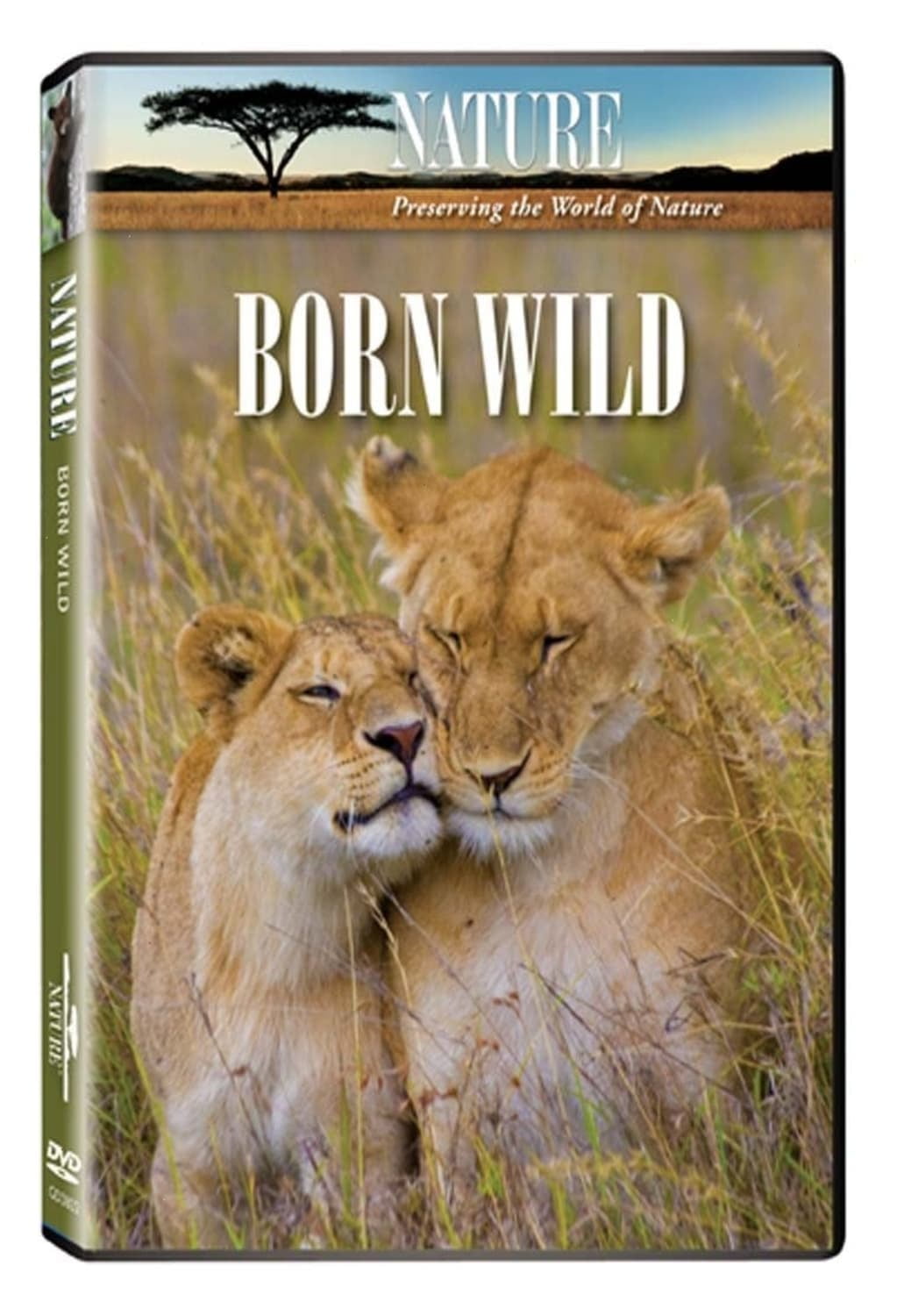 Nature: Born Wild (DVD) - DVD - Walmart.com