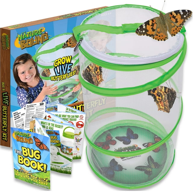 Nature Bound Butterfly Science Kit - Caterpillar to Butterfly Project ...