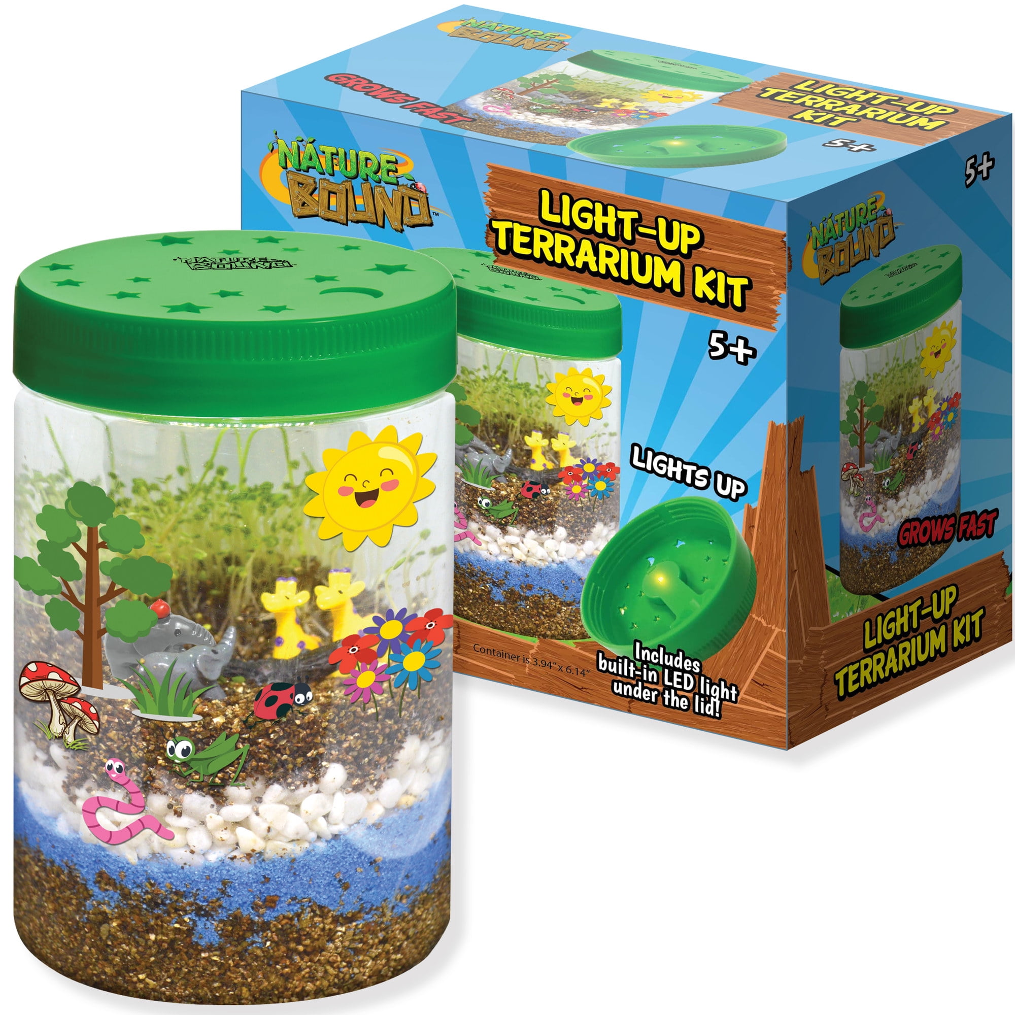 Nature Bound DIY Glow Mini Terrarium Kit with LED Light for Kids - STEM ...