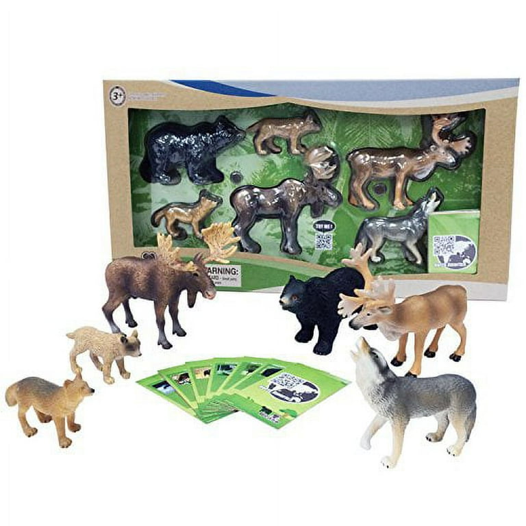 North American Forest Animals List