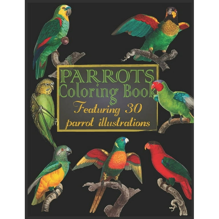 parakeet coloring pages