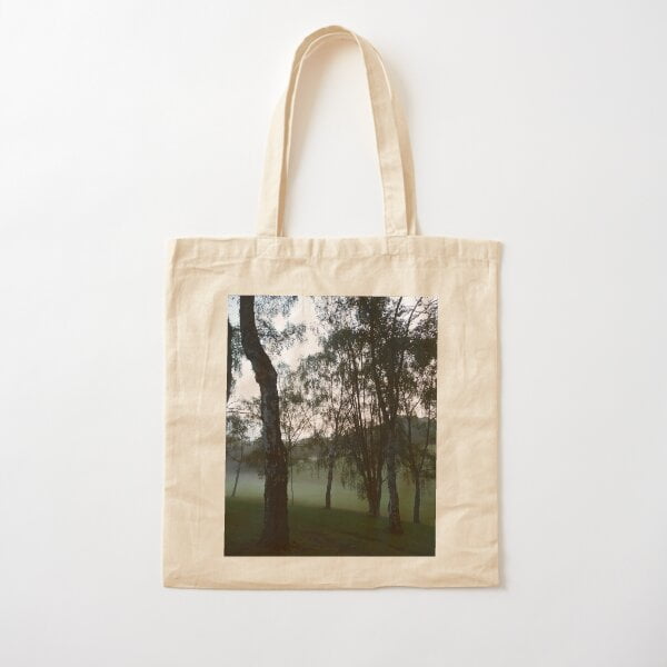 Nature, Cottagecore, Trees, Mist, Atmospheric, Nerdytortoises, Sunset ...